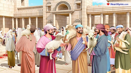 Names of God : Meet Christ