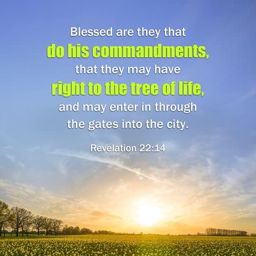 John 4:24–Bible Quote Image About Worshiping God