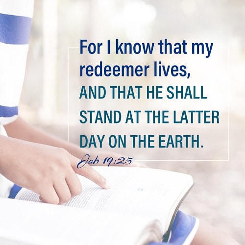 Job 19:25 - What Happened to Job in the Bible Job 19:25 - What Happened to Job in the Bible