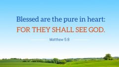 Learn What It Means to Be Pure in Heart From Two Kinds of People in the ...