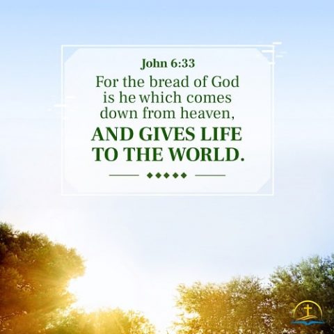 Walk in the Light - Bible Study - Daily Devotionals