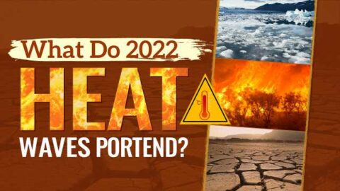 What Do the 2022 Heat Waves Signal?