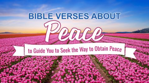 Bible Verses About Peace to Guide You to Seek the Way to Obtain Peace